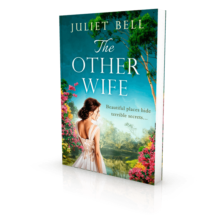 THE OTHER WIFE 3D - MBA Literary Agents