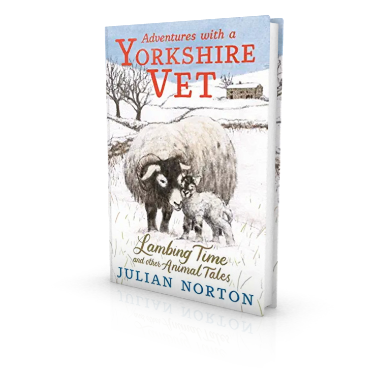 Lambing Time and Other Animal Tales by Julian Norton is out now! - MBA ...